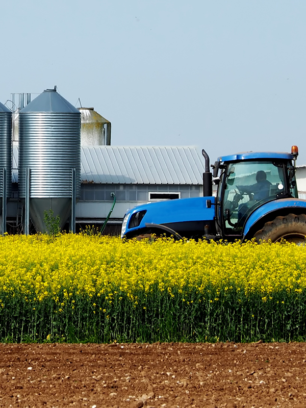 Potential Feedstocks for SAF Production - C-SAF